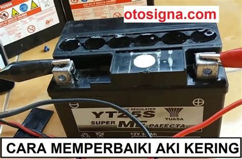 Cara Memperbaiki Aki Kering 8 Cara Dan Ulasannya Otosigna