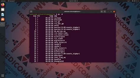 How To See Active Processes In Linux Linux Basics Course Baku Cisco Networking Academy Linux