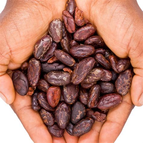 Cocoa Nibs Roasted I Am Origins Kenya