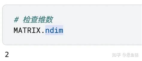 PyTorch 基础 知乎