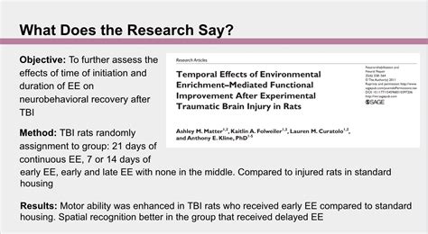 Environmental Enrichment To Promote Neuroplasticity And Prevent