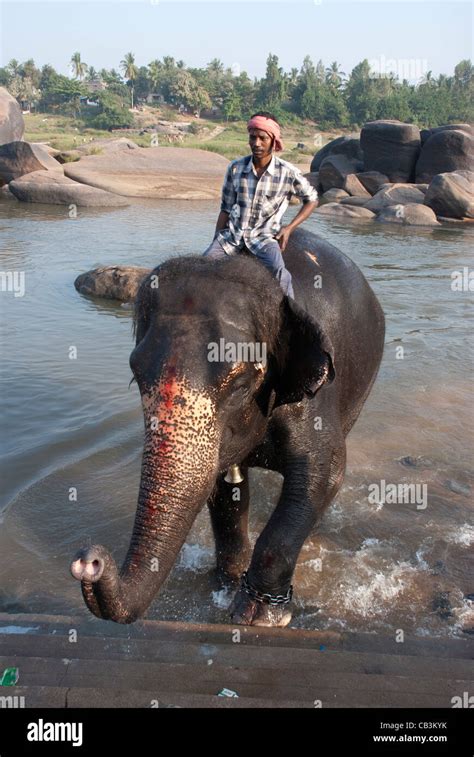 Bathing In Tungabhadra River Hampi Hi Res Stock Photography And Images