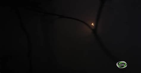 ტიფლისი Coub