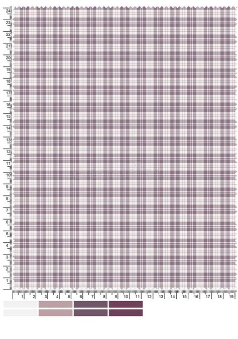 Detailed View Of A Plaid Fabric Swatch With Ruler And Color Palette