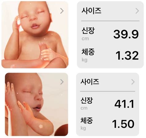 [임신후기] 29주 태아 알아보기 And 30주 태아 알아보기 29주5일 꿈이 정밀초음파 네이버 블로그