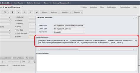 Acumatica Singapore Adding Field Selector With Exotic Attributes