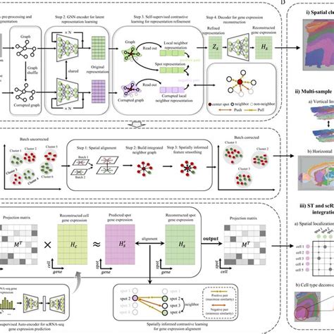 Using Soar To Explore Spatially Variable Genes And Cell Cell Download Scientific Diagram
