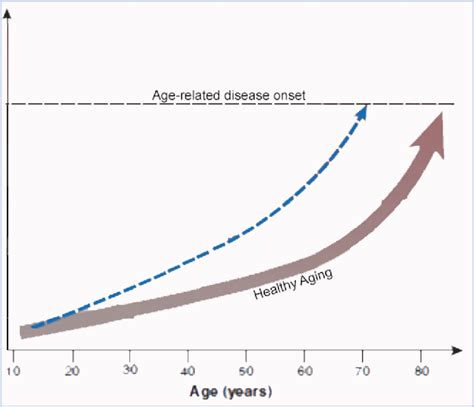 1 Aging Trajectories And Healthy Aging Download Scientific Diagram