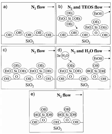 Principle Of Ald A Silicon Dioxide Surface Covered With Hydroxyl