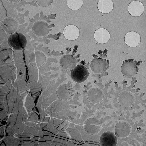 Intermediate Mag Detector Object Detection Dataset By Smartscope