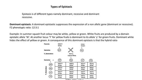 Non Allelic Gene Interaction Dominant And Recessive Epistasis Pptx Genetics Science
