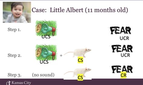 Nmsp Exam 3 Behavioral Therapies Schmidt Flashcards Quizlet