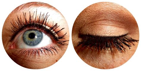 Beauty Blurbs Loréal Voluminous False Fiber Lashes Hoots Of A Night Al