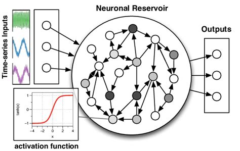 Echo State Networks In Nlp Unleashing Computational Efficiency For