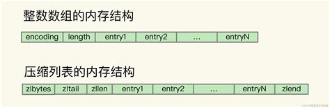 Day Redis常见问题① Redis 核心技术与实战