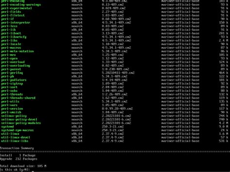 Running Cbl Mariner 20 Azure Linux On Hyper V For Docker Container