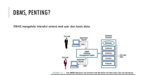 Pengertian Basis Data Database Menentukan Kebutuhan Sistem TKJ XII