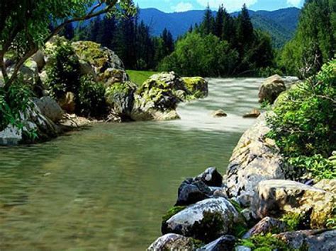 🔥 [60 ] Free Rotating Wallpapers And Screensavers Wallpapersafari