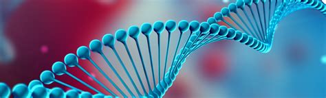 Gateway Genomics Llc Linkedin