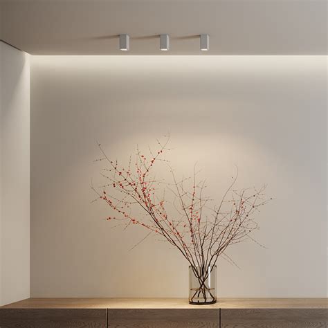 Artus · Apure Marine