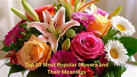 Top 10 Most Popular Flowers And Their Meanings Wishbyt