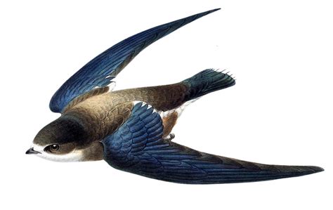 Revit Api Guide Dynaguide