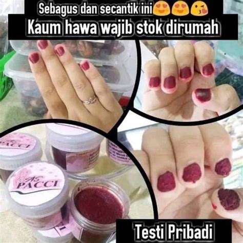 Harga Pacci Kuku Halal Terbaru Des 2025 Biggo Indonesia