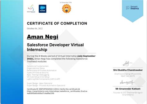 Aman Negi On Linkedin Smartinternz Salesforce Skilledonsalesforce