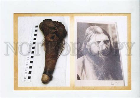 3117452 Rasputin Penis Museum Advertising Postcard Topics Royal