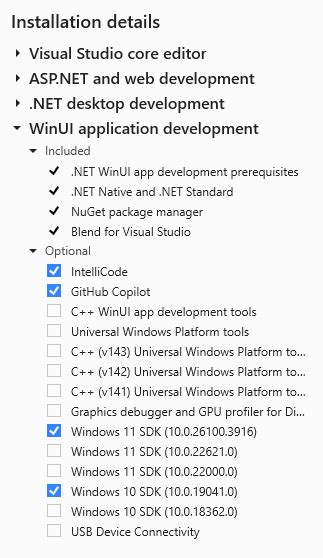 C Blank App Packaged WinUI In Desktop Is Missing Stack Overflow