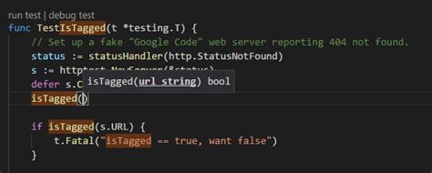 parameter hints don t show up in tests · issue 1184 · microsoft vscode