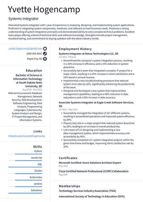 IBM Systems Integrator Resume Examples ResumeCat
