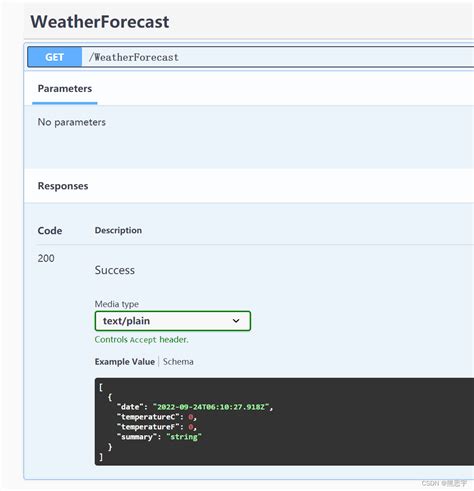 C Asp Net Web Core Api Net Net Api Csdn