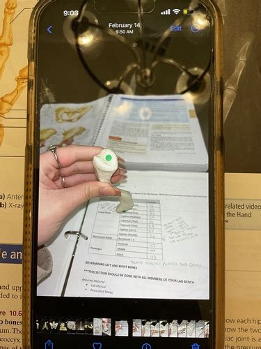 Bio Lab Midterm Flashcards Quizlet Bio Lab Midterm Flashcards Quizlet