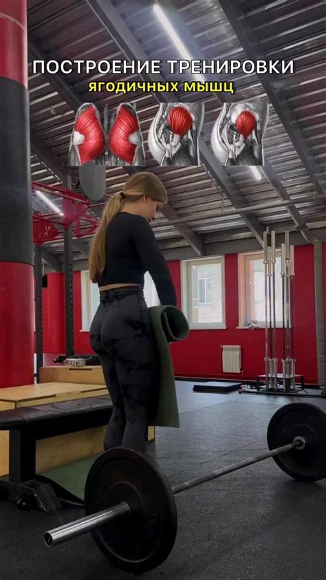 Пин от пользователя Шевелева Кэрэчээнэ Сулустаан К на доске Упражнения Тренировка ягодиц