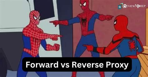 Understanding Forward Proxy Vs Reverse Proxy Reviewnprep