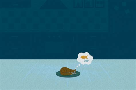 How To Outsmart And Get Rid Of Mice In Your Home The Washington Post