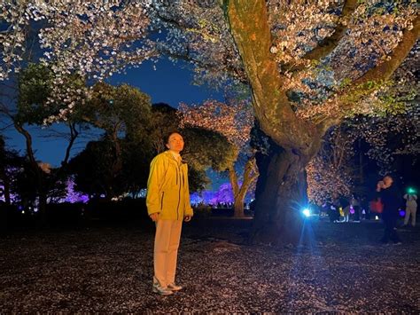 NAKED桜の新宿御苑 夜桜のライトアップ山田美樹公式サイト衆議院議員前環境副大臣自民党東京都第一選挙区支部長千代田区新宿区