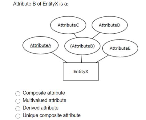Solved Attribute B Of Entityx Is A Attributec Attributed