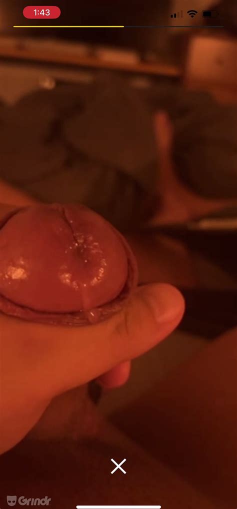 Self Dripping Precum ThisVid Com