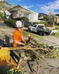 Best Arborist Central Coast NSW Tree Removalist Central Coast