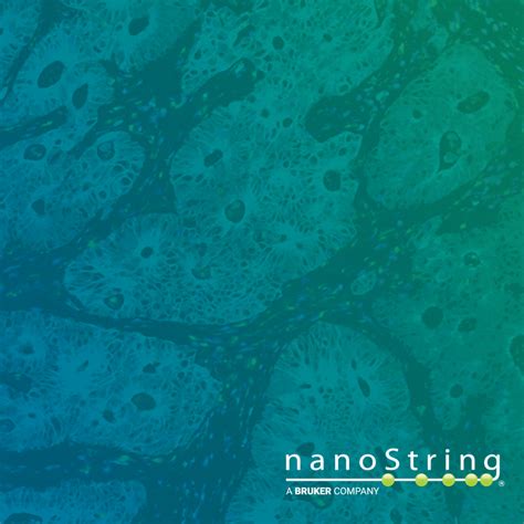 Spatialbiology Geneexpression Nanostring Technologies Inc