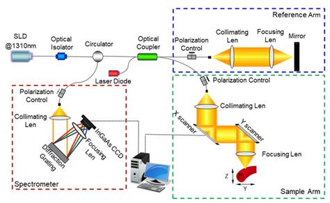 Schematic Of A Spectral Domain Oct System Red Box Spectrometer Blue Download Scientific