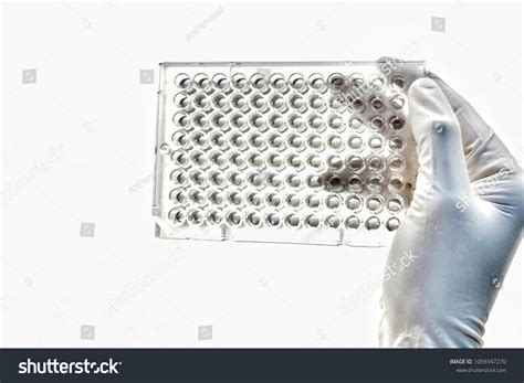 19 96well Plate Images Stock Photos Vectors Shutterstock