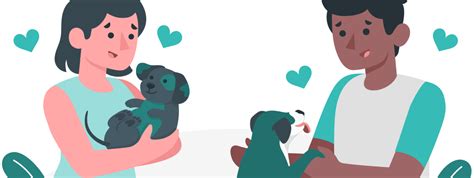Adopt Dash Today Pets Thecountyoffice