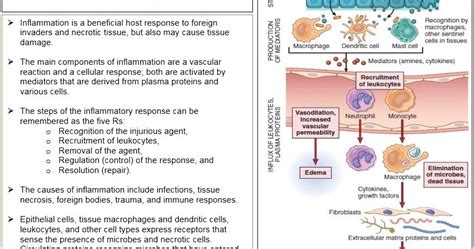 What Is Systemic Inflammatory Response Syndrome Sirs