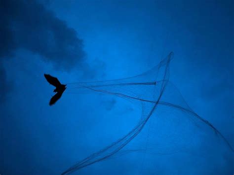 Two Deaths In Kozhikode Due To Nipah Virus Confirms Kerala Health Minister Zee Business