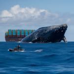 How To Install Docker On Linux A Step By Step Guide Shell