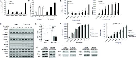 Pim1 Induces Myc Phosphorylation That Drivers Bez235 Resistance A Download Scientific