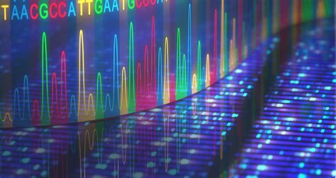 Take A Look At The Five Major Techniques Liquid Biopsy Pcr Ngs Ihc And Ms